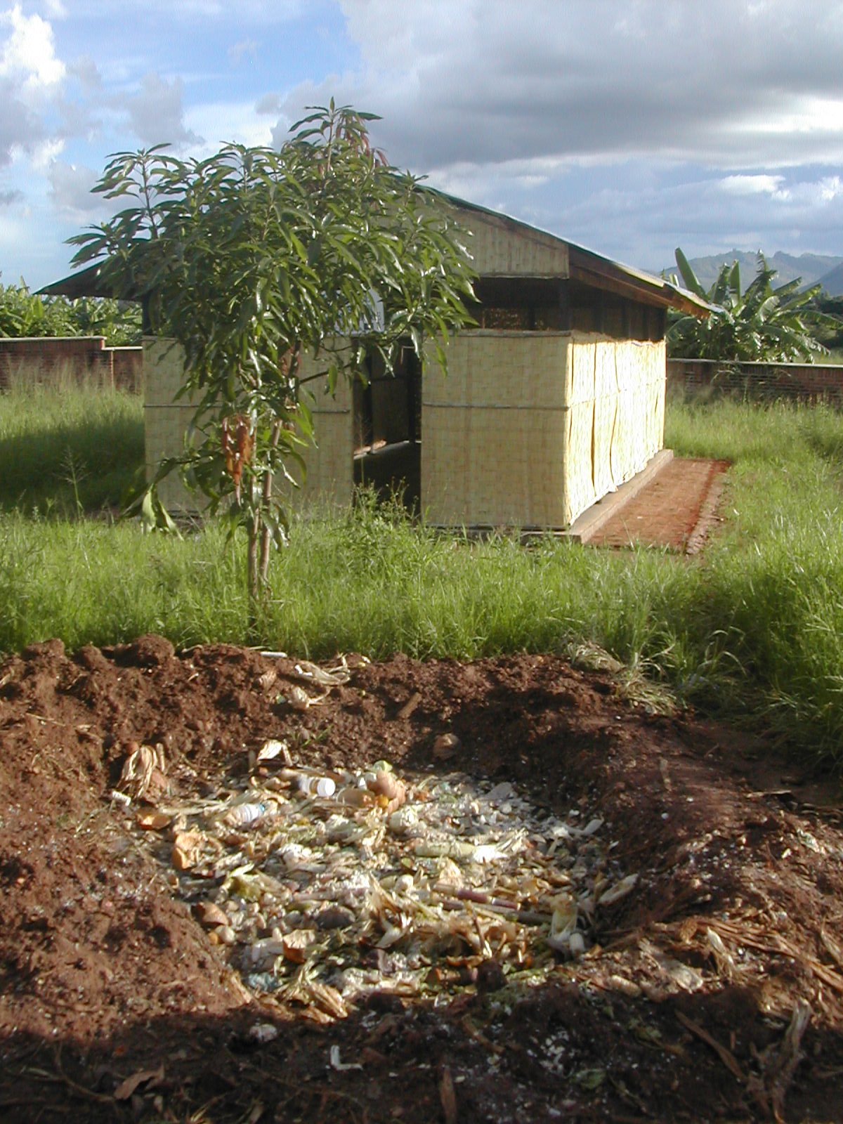 Making Compost - Never Ending Food
